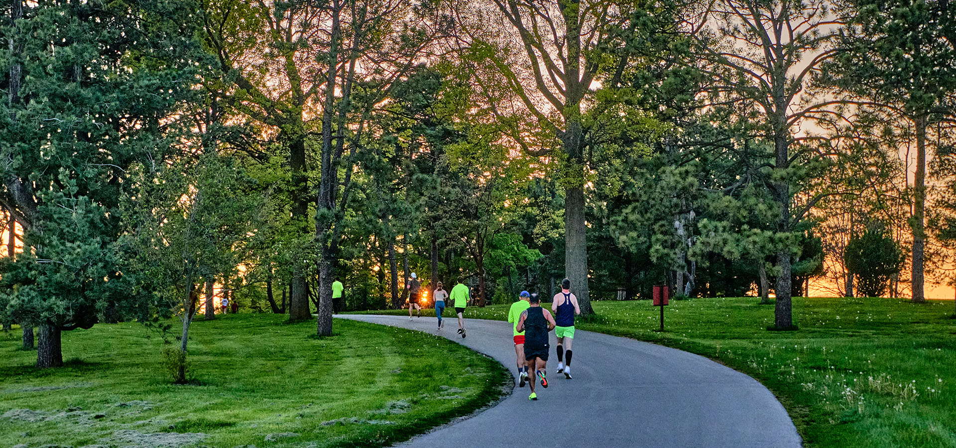 Firefly 3K | The Morton Arboretum