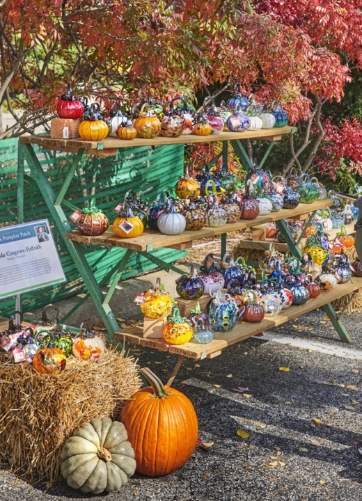Arbor Evenings | Summer Concerts at The Morton Arboretum