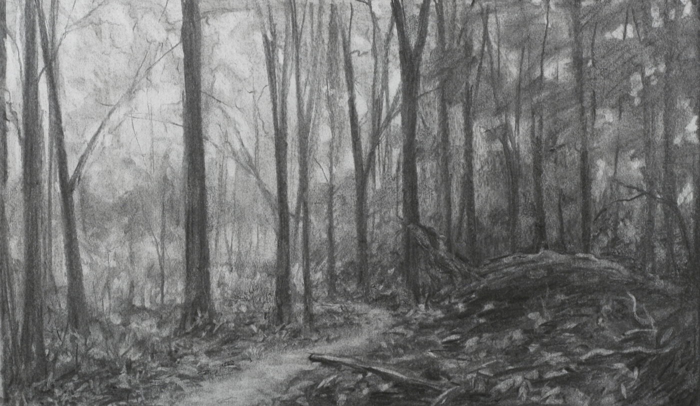Charcoal Techniques | The Morton Arboretum