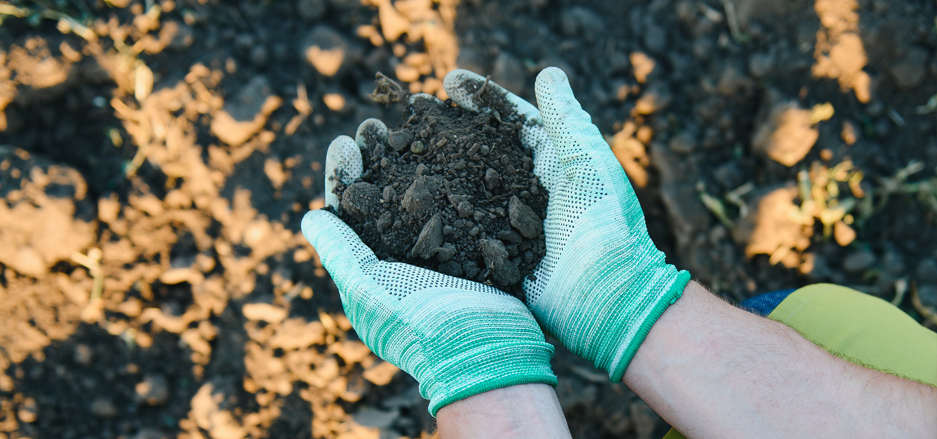 Assessing Soil Health for Ornamental Landscapes | The Morton Arboretum