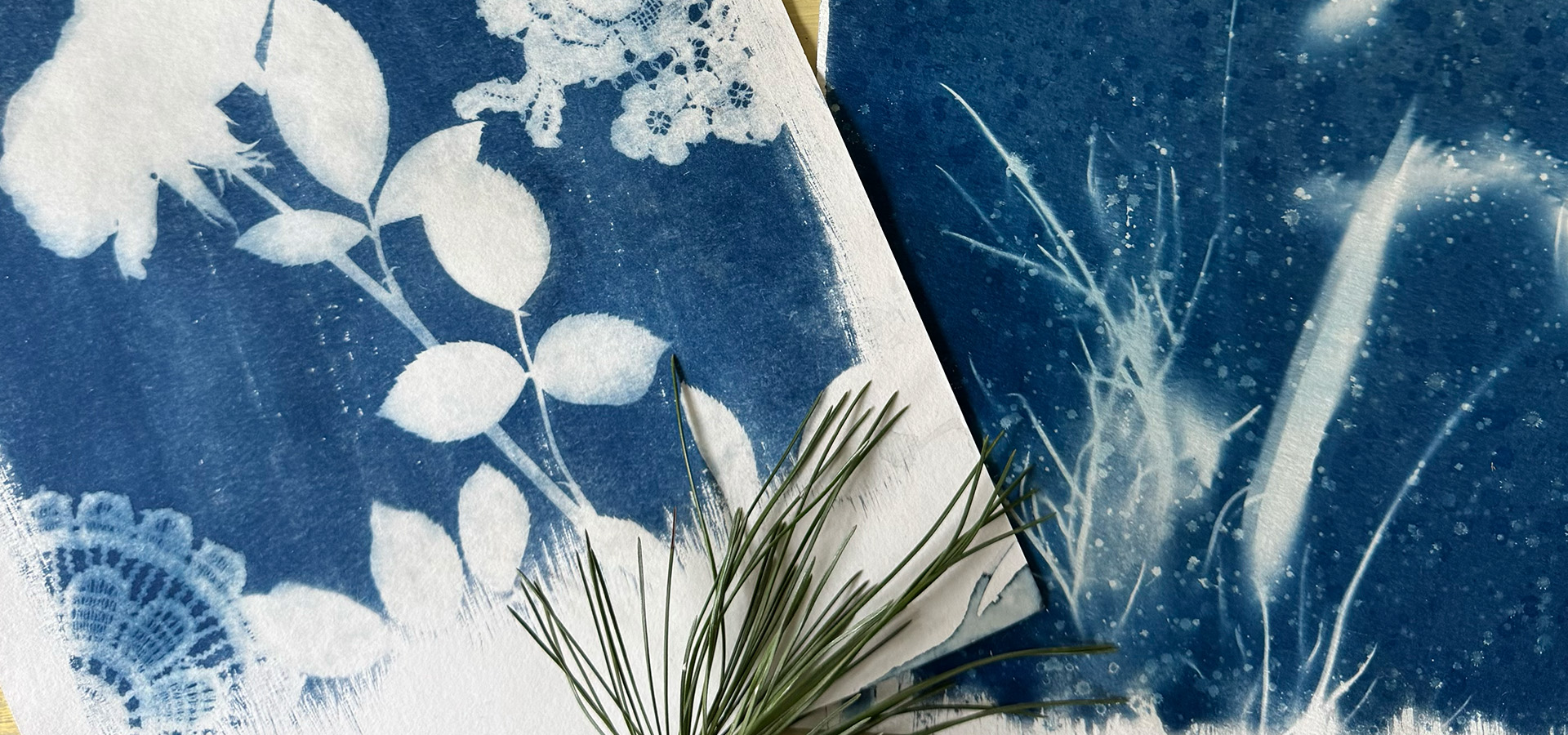 Cyanotype Printing | The Morton Arboretum